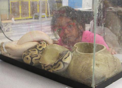 St. Jude Mission School students learn about snakes | Soboba Band of ...